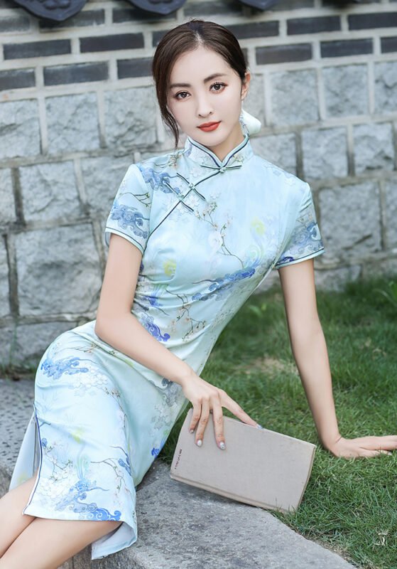 2025 Daily Cheongsam Modern Chinese Dress - Qipao Cheongsam Dresses ...